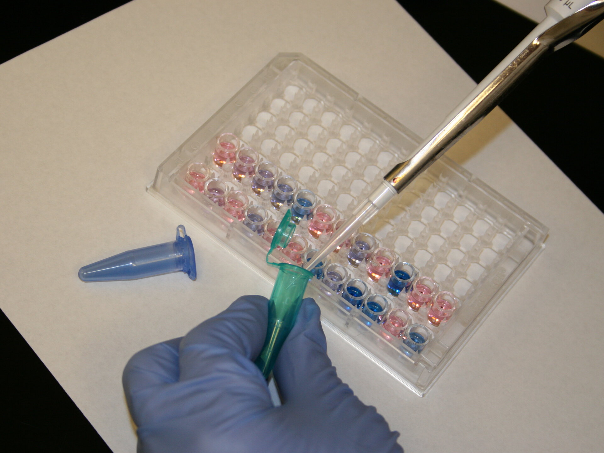 Food Allergy Research & Resource Program | Nebraska