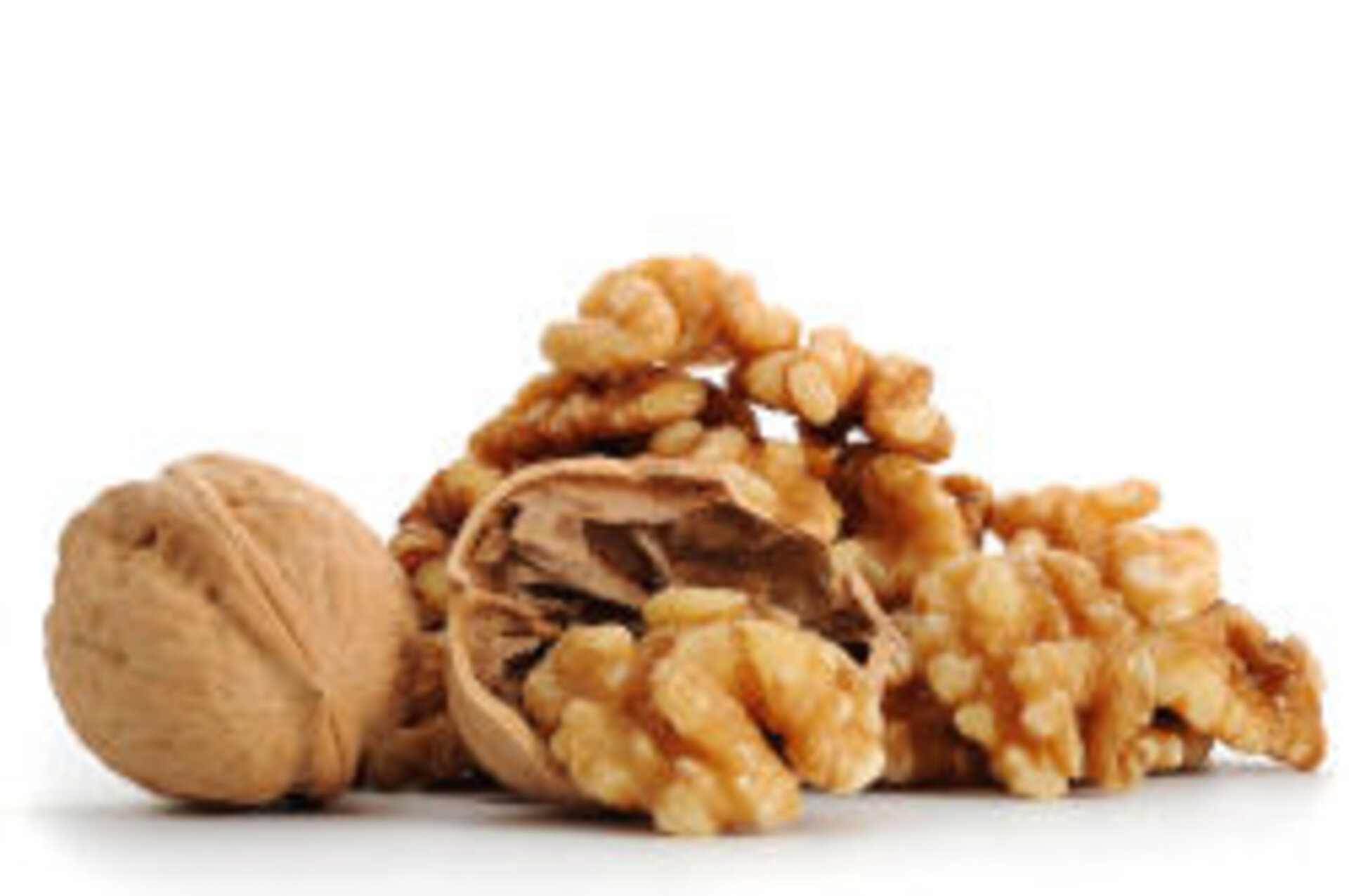 Tree Nuts | Food Allergy Research & Resource Program | Nebraska