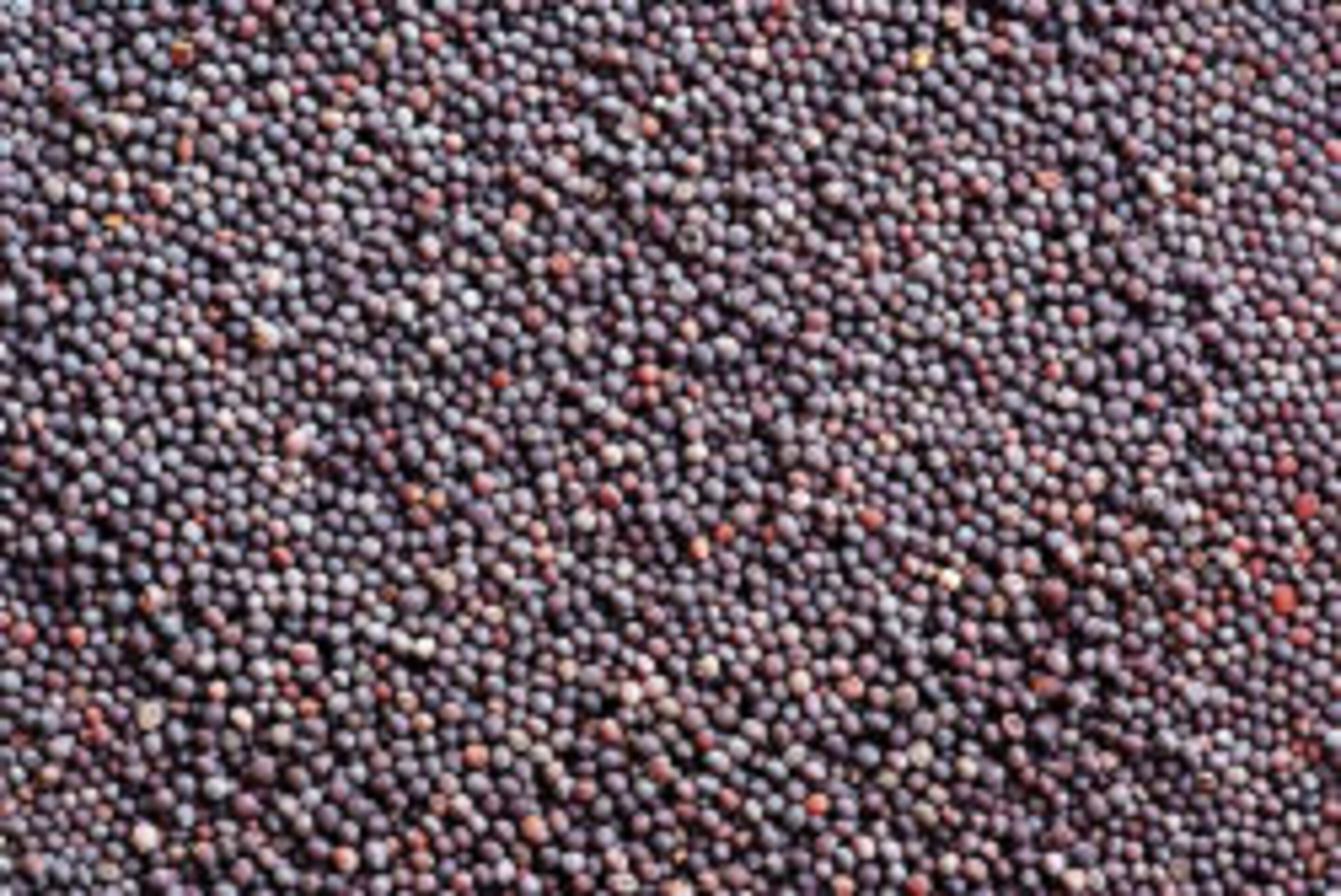 Other Priority Allergens | Food Allergy Research & Resource Program ...