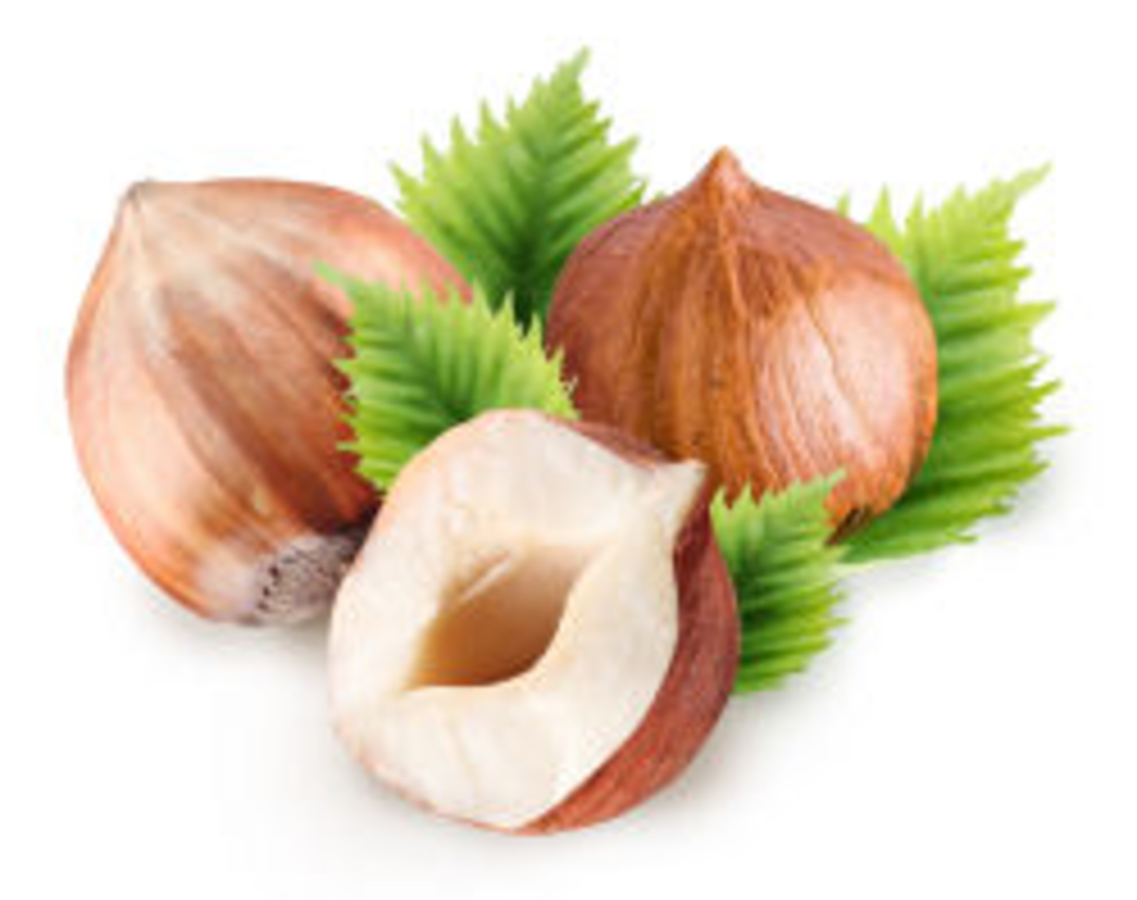 Tree Nuts | Food Allergy Research & Resource Program | Nebraska