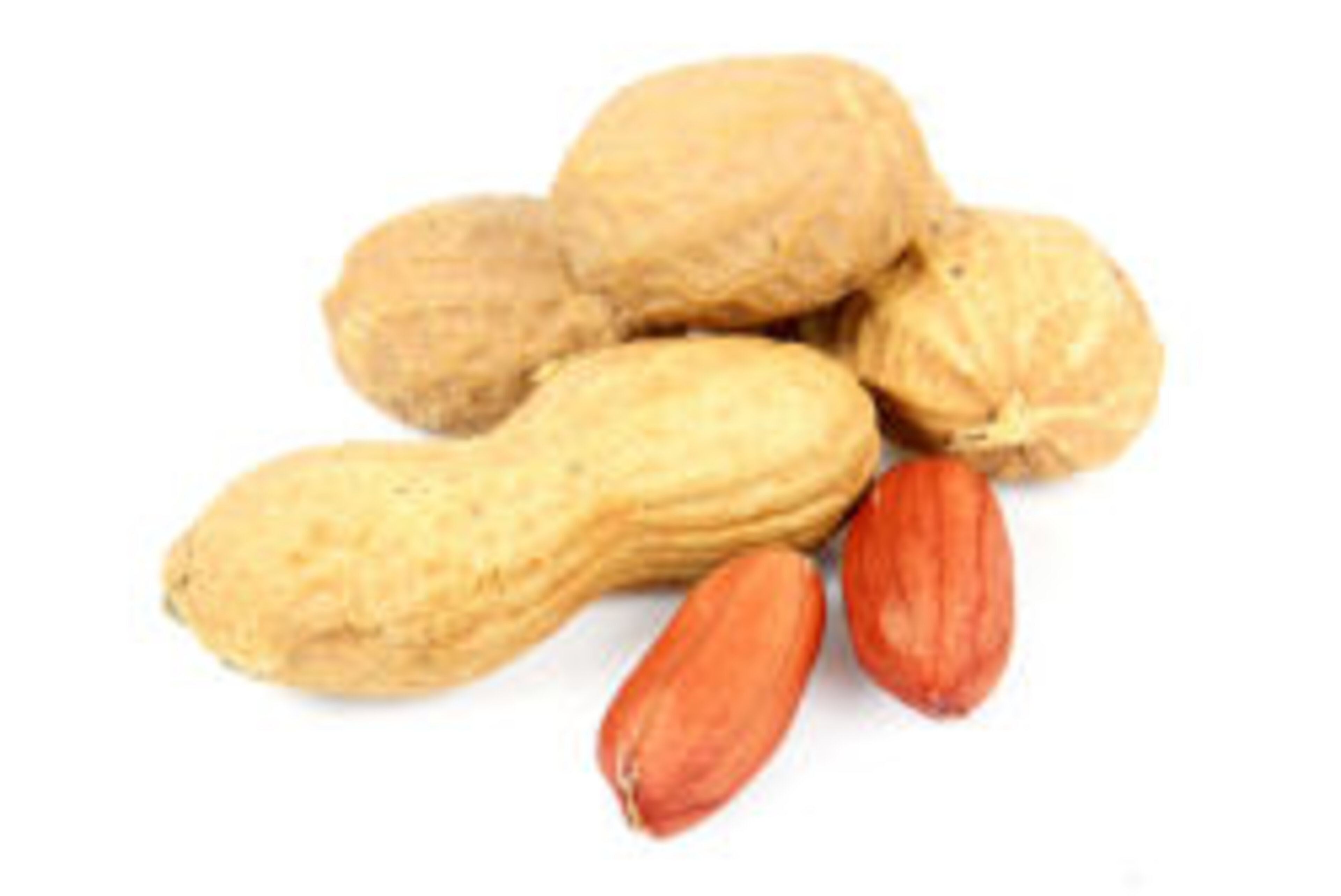 Legumes | Food Allergy Research & Resource Program | Nebraska