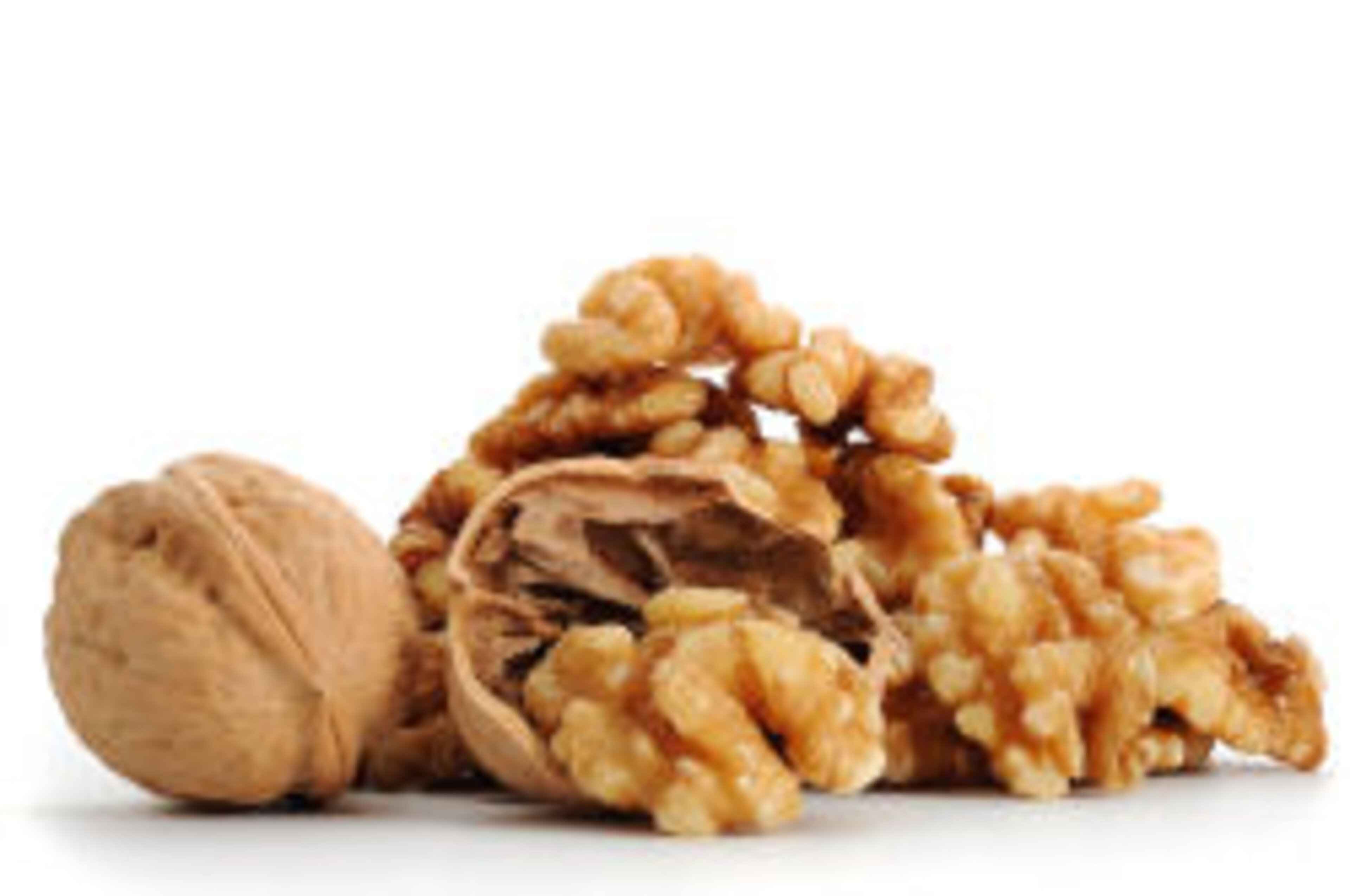 Tree Nuts | Food Allergy Research & Resource Program | Nebraska